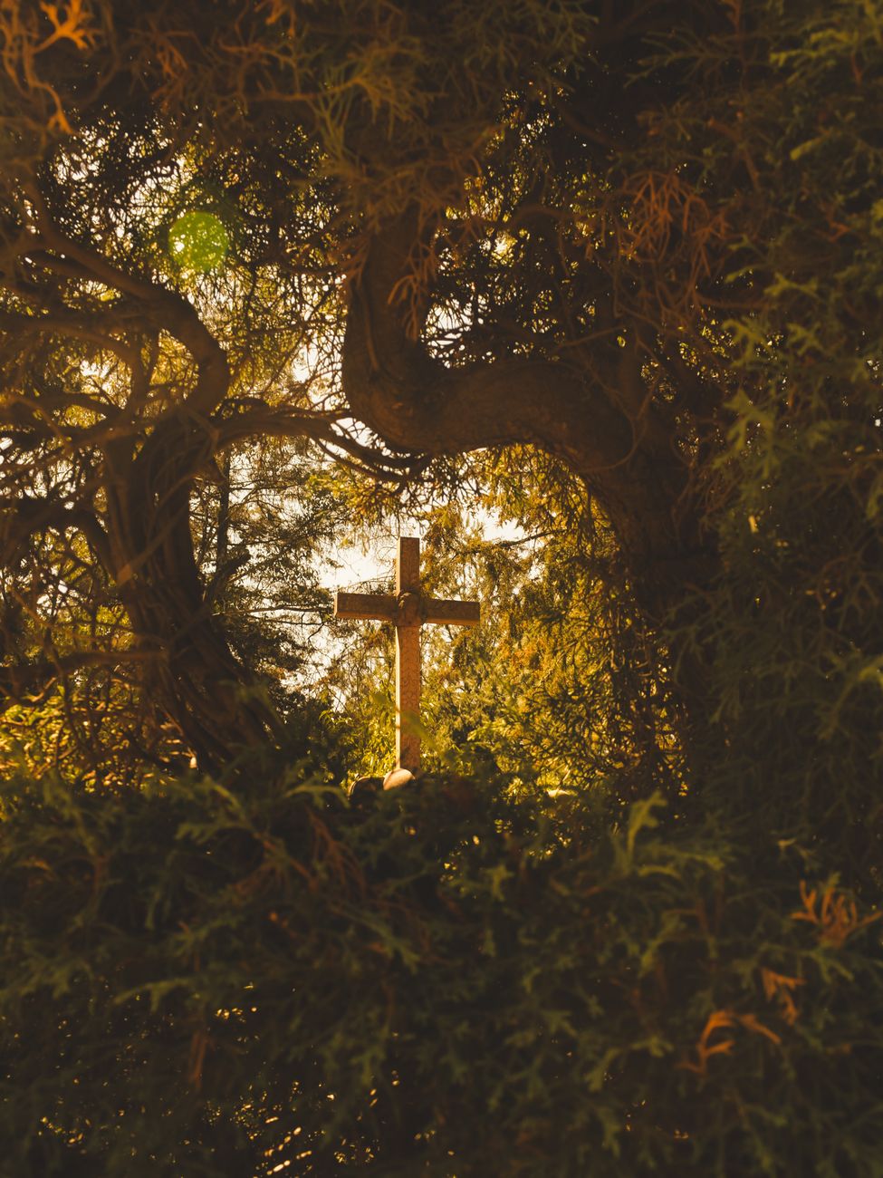 The Running Rich | Through the Eyes of the Spirit